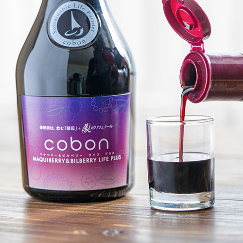 コーボンマキベリー＆ビルベリー 先行予約をスタートしました！ 酵母ドリンク cobon 公式通販｜美味しく酵母で育む美容習慣 コーボン Nシリーズ